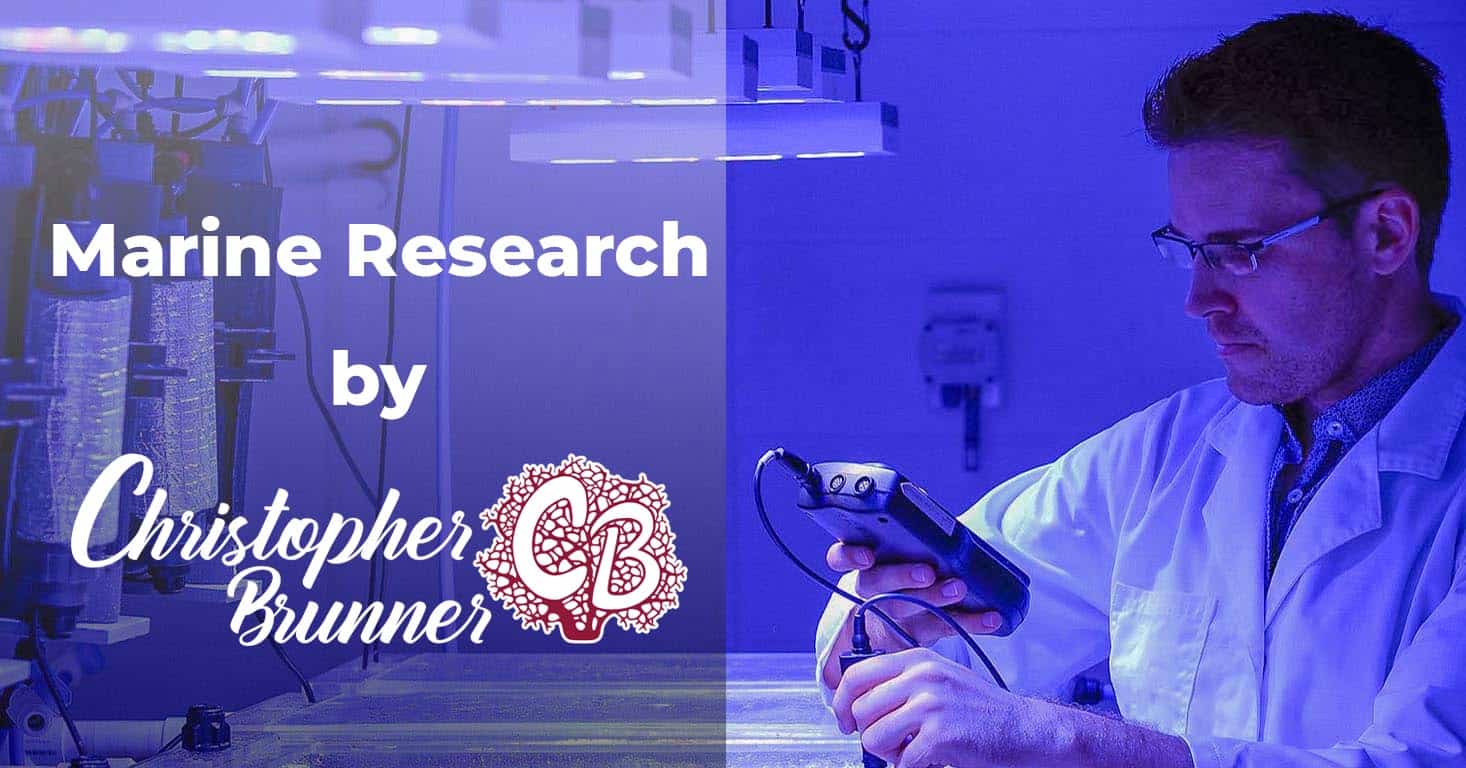 Christopher A. Brunner - CV